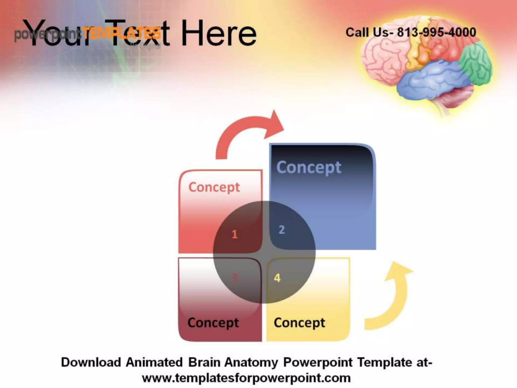 Animated brain anatomy powerpoint template | PPTX