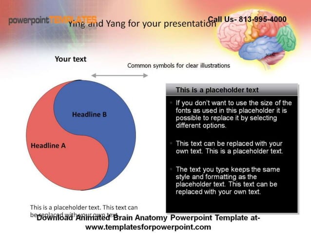 Animated brain anatomy powerpoint template | PPT