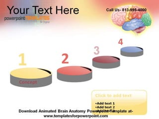 Animated brain anatomy powerpoint template | PPT