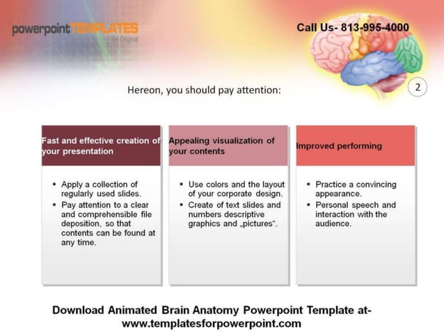 Animated brain anatomy powerpoint template | PPT