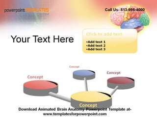 Animated brain anatomy powerpoint template | PPT
