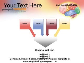 Animated brain anatomy powerpoint template | PPT