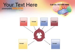 Animated brain anatomy powerpoint template | PPT