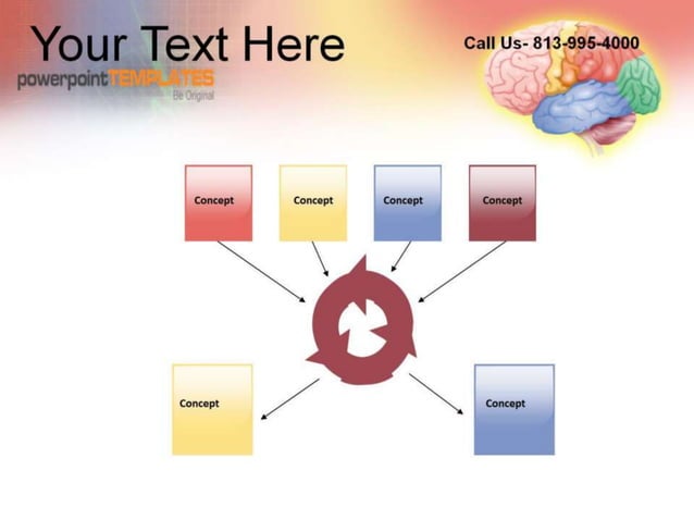 Animated brain anatomy powerpoint template | PPT