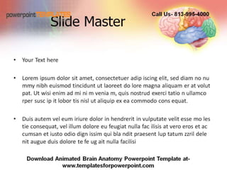 Animated brain anatomy powerpoint template | PPTX