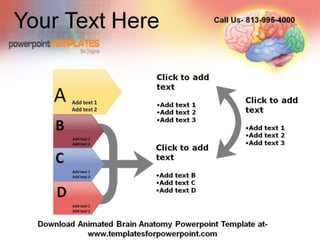 Animated brain anatomy powerpoint template | PPT