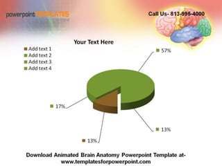 Animated brain anatomy powerpoint template | PPT