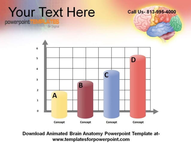 Animated brain anatomy powerpoint template | PPT
