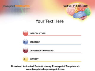 Animated brain anatomy powerpoint template | PPTX