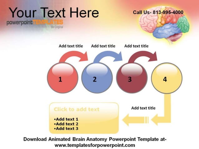 Animated brain anatomy powerpoint template | PPTX