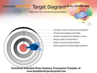 Animated brain anatomy powerpoint template | PPT