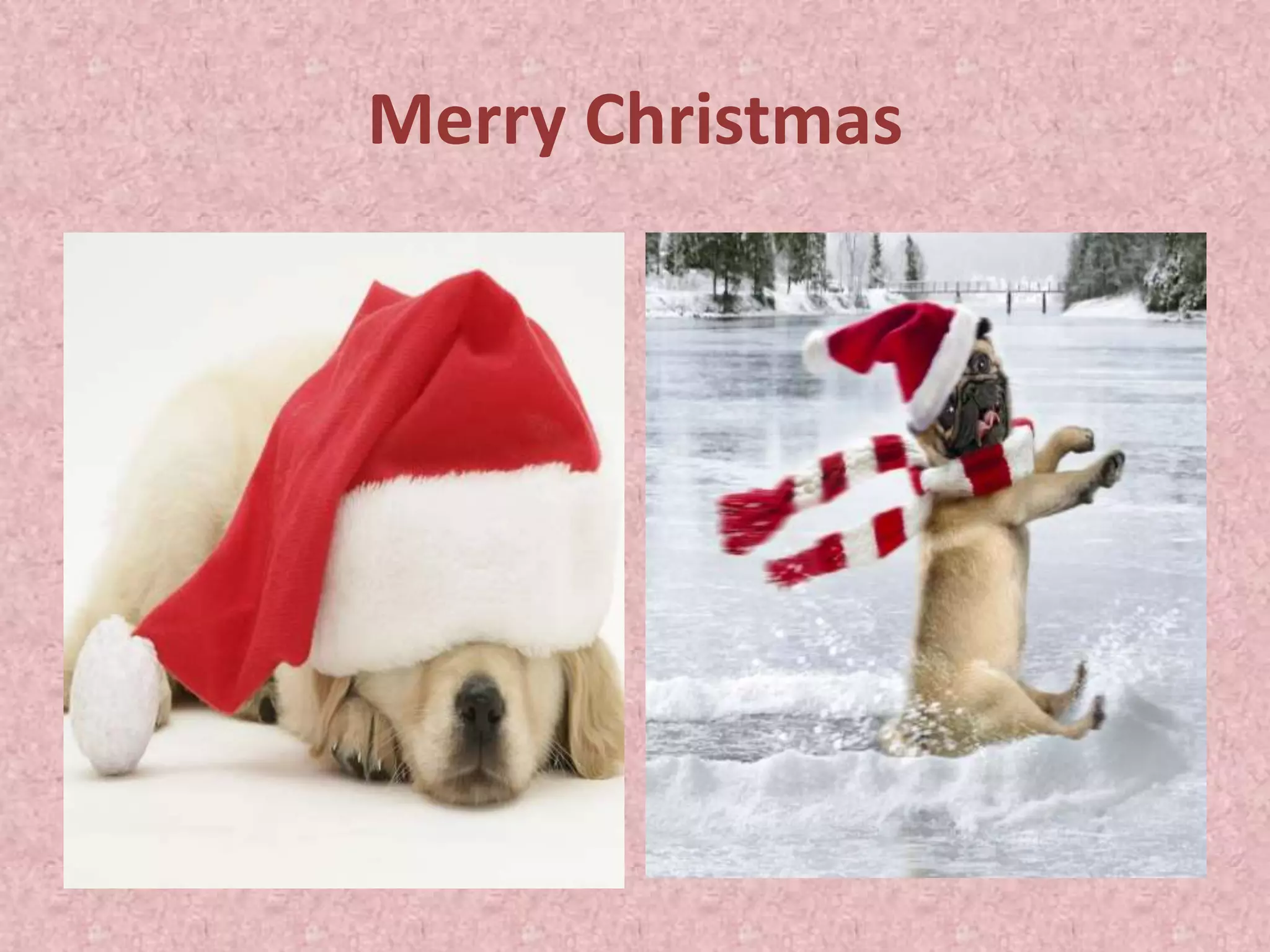 Animated christmas animals | PPTX