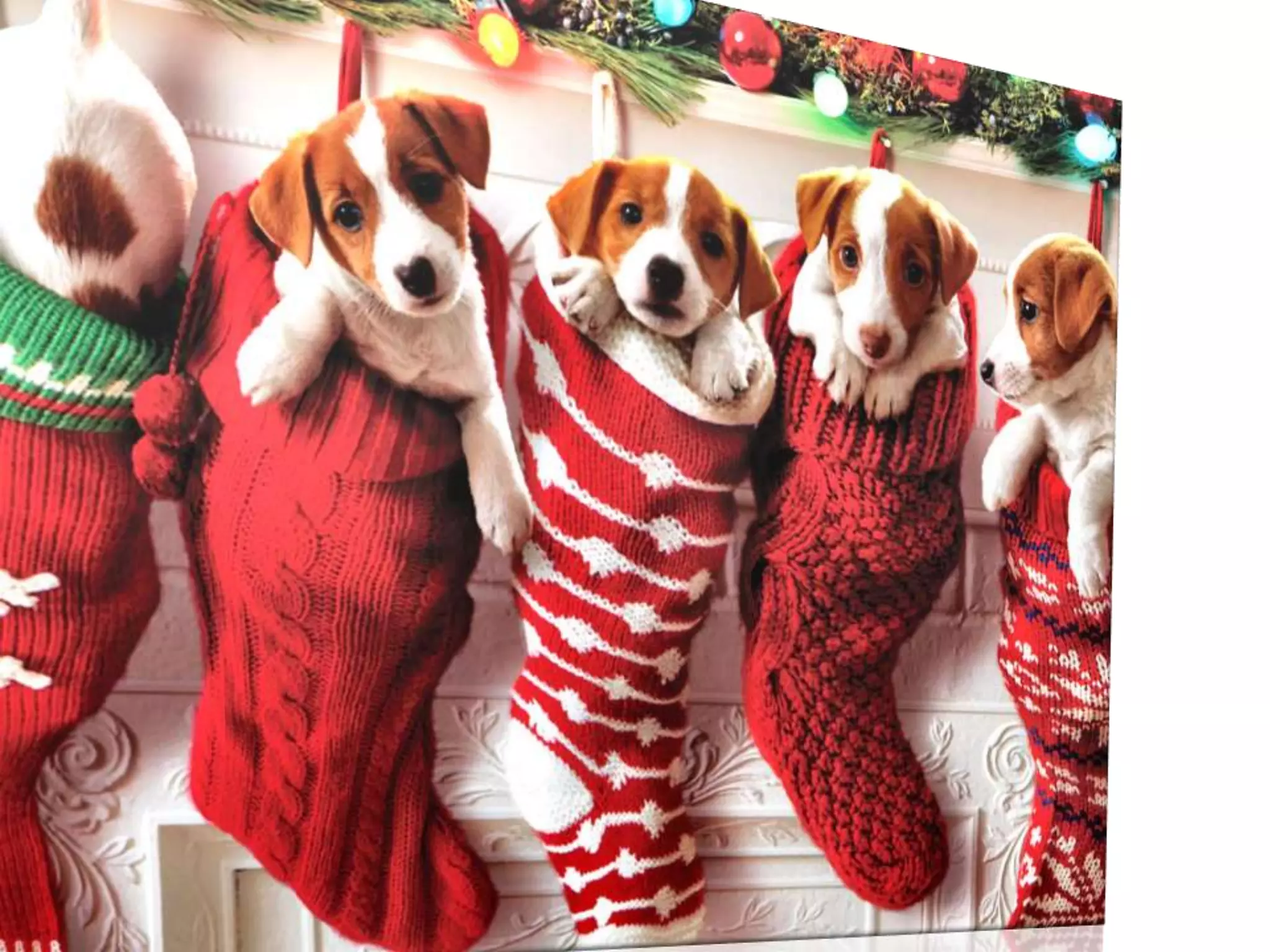 Animated christmas animals | PPTX