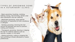 Grooming Project | PPTX