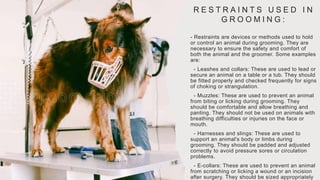 Grooming Project | PPTX