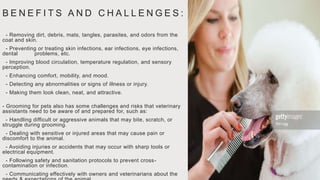 Grooming Project | PPTX