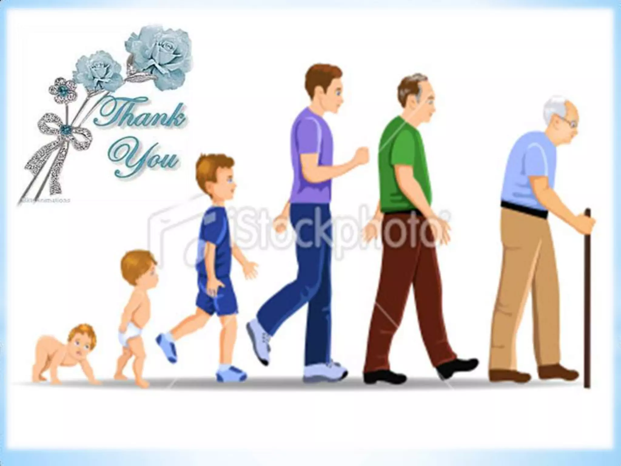 Animated life cycle | PPTX