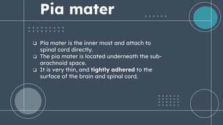 Animated ppt of spinal cord.pptx