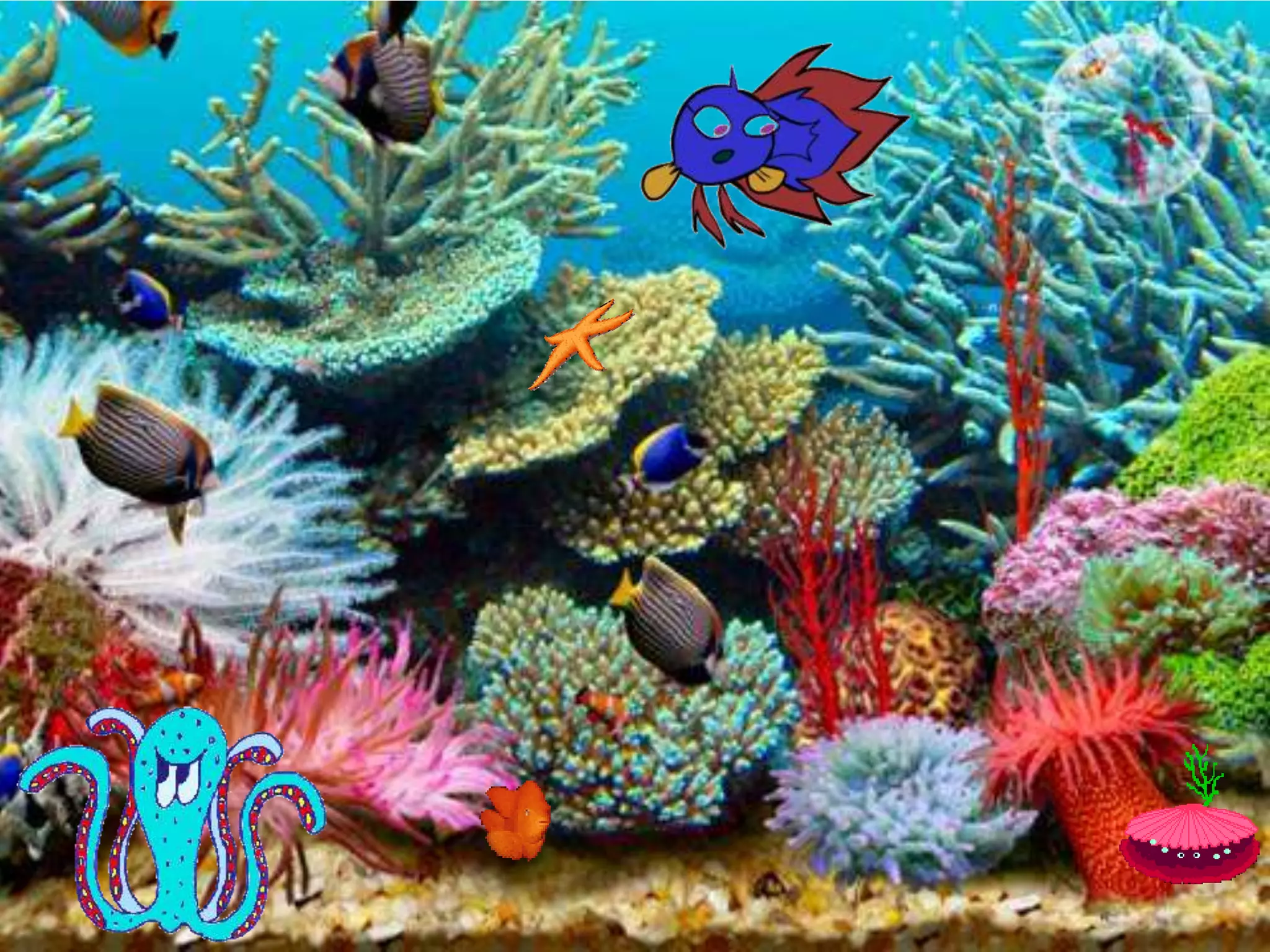 Animated sea creatures | PPT