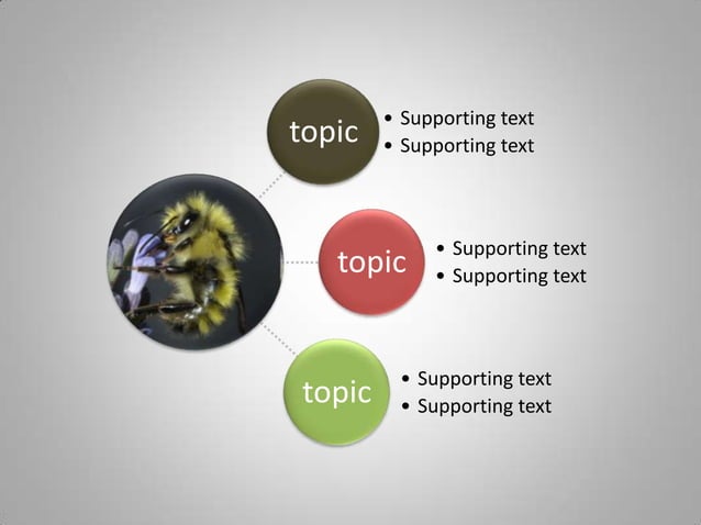 Animated radial list_with_picture | POTX
