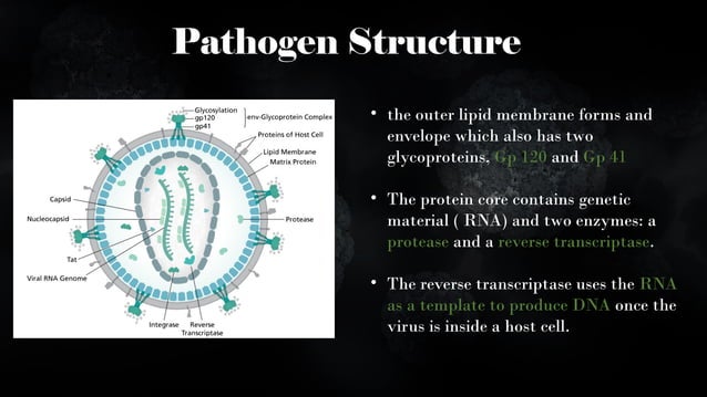 Animated title abstract.pptxniojijohguyguiu88 | PPTX