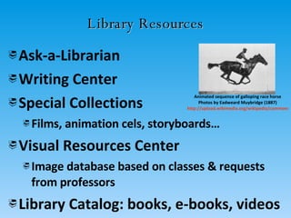 Research Animation and Animators | PPT