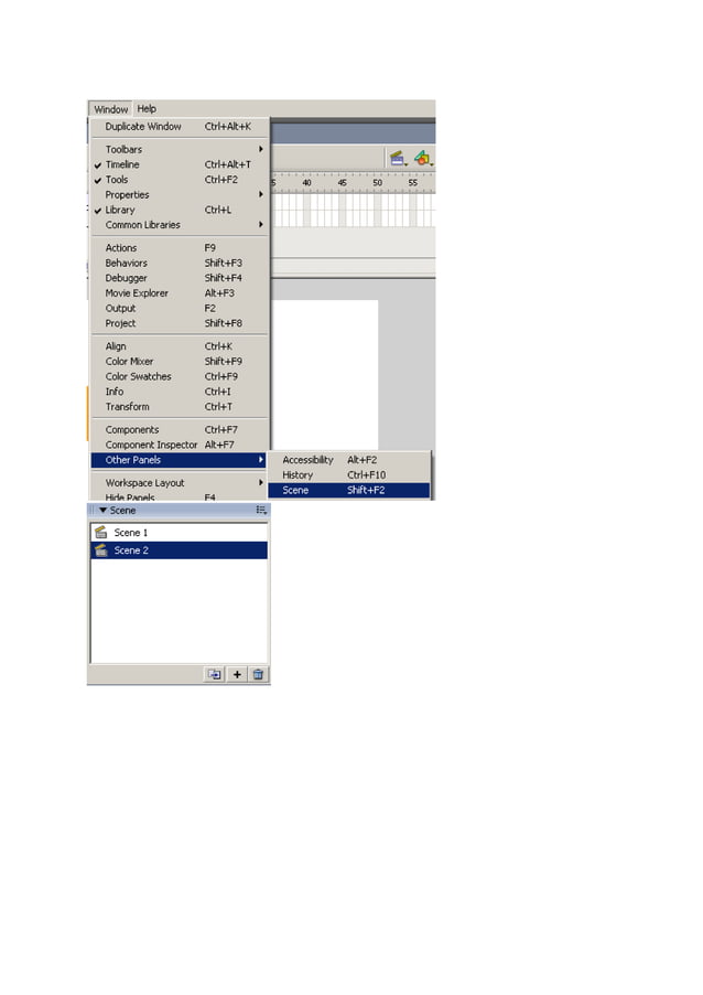 วิธีการทำ Animation ต่างๆ ด้วยโปรเเกรม flash cs3 | DOCX