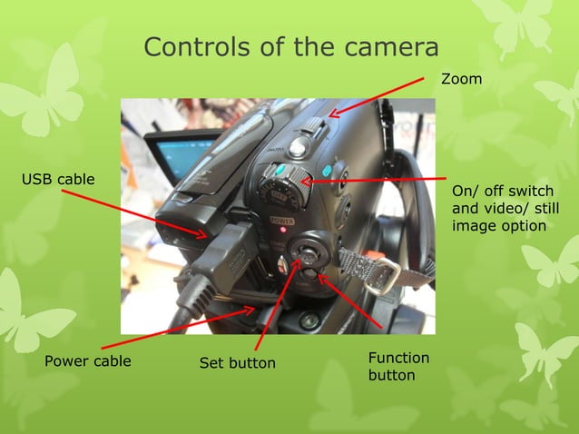 Animation rig set up | PPT