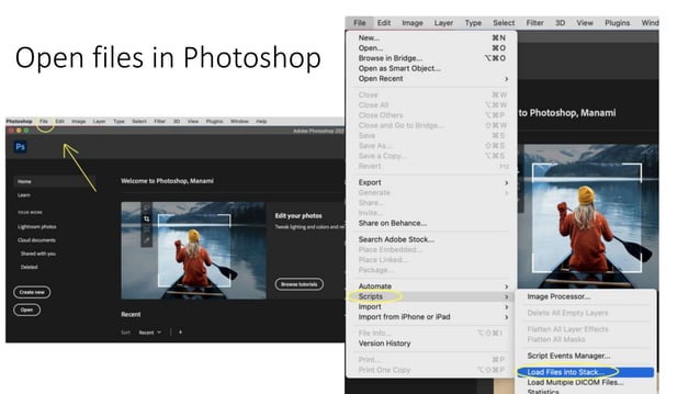 Animation step by step instruction | PPT