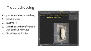 Animation step by step instruction | PPTX