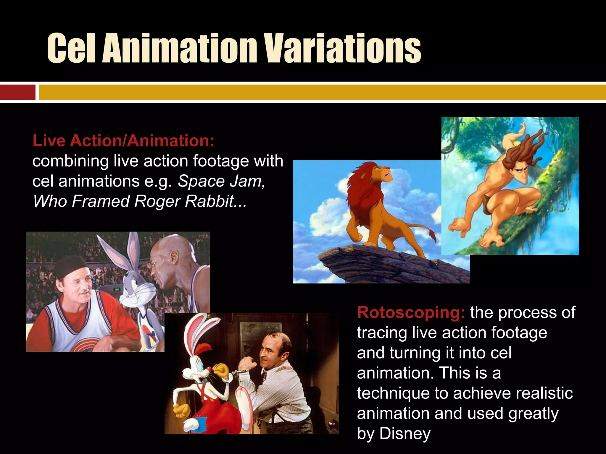 Animation Summary | PPTX