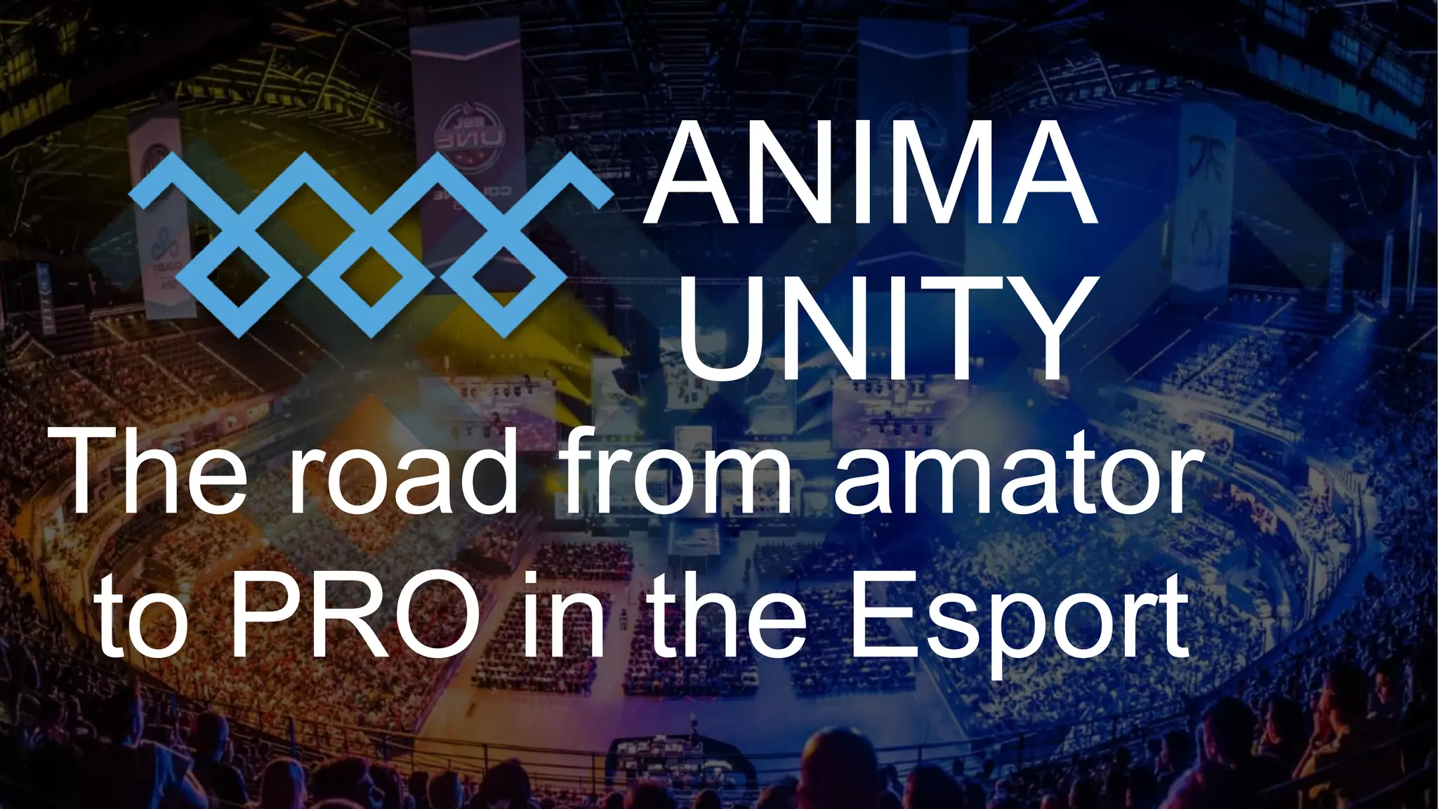 Anima Unity - the road from amateur to PRO in the Esport | PPTX