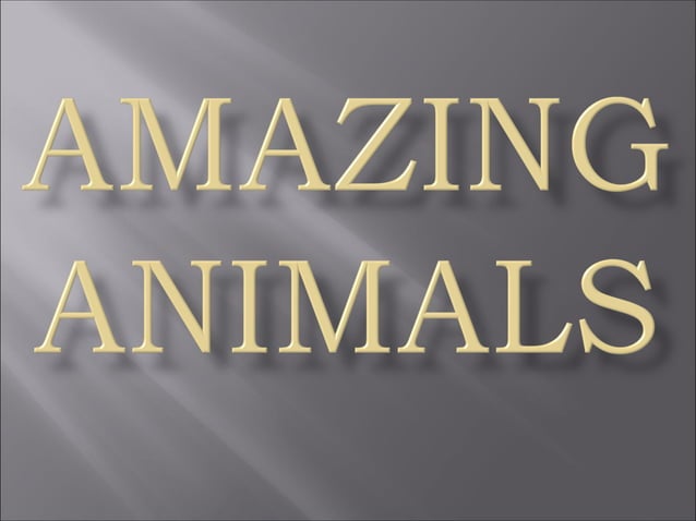 Animaux [024] amazing animals | PPS