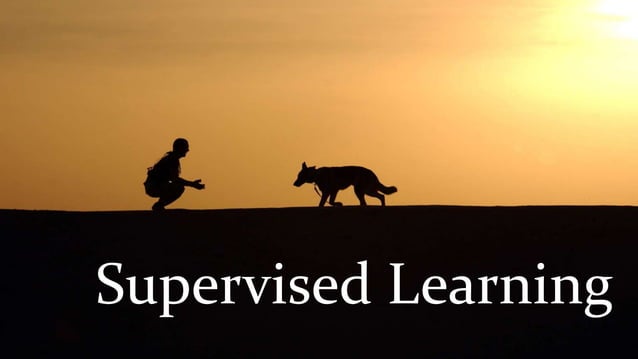 Machine Learning Basics By Animesh Sinha Ppt