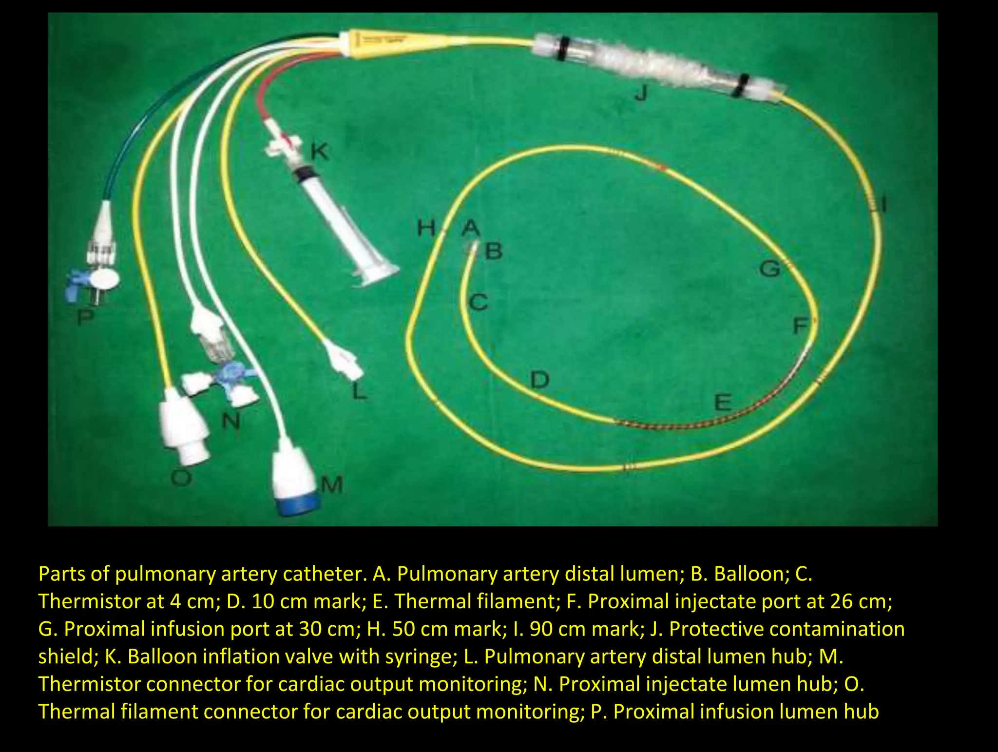 Pulmonary Artery Cathetrization by Dr. Animesh | PPTX