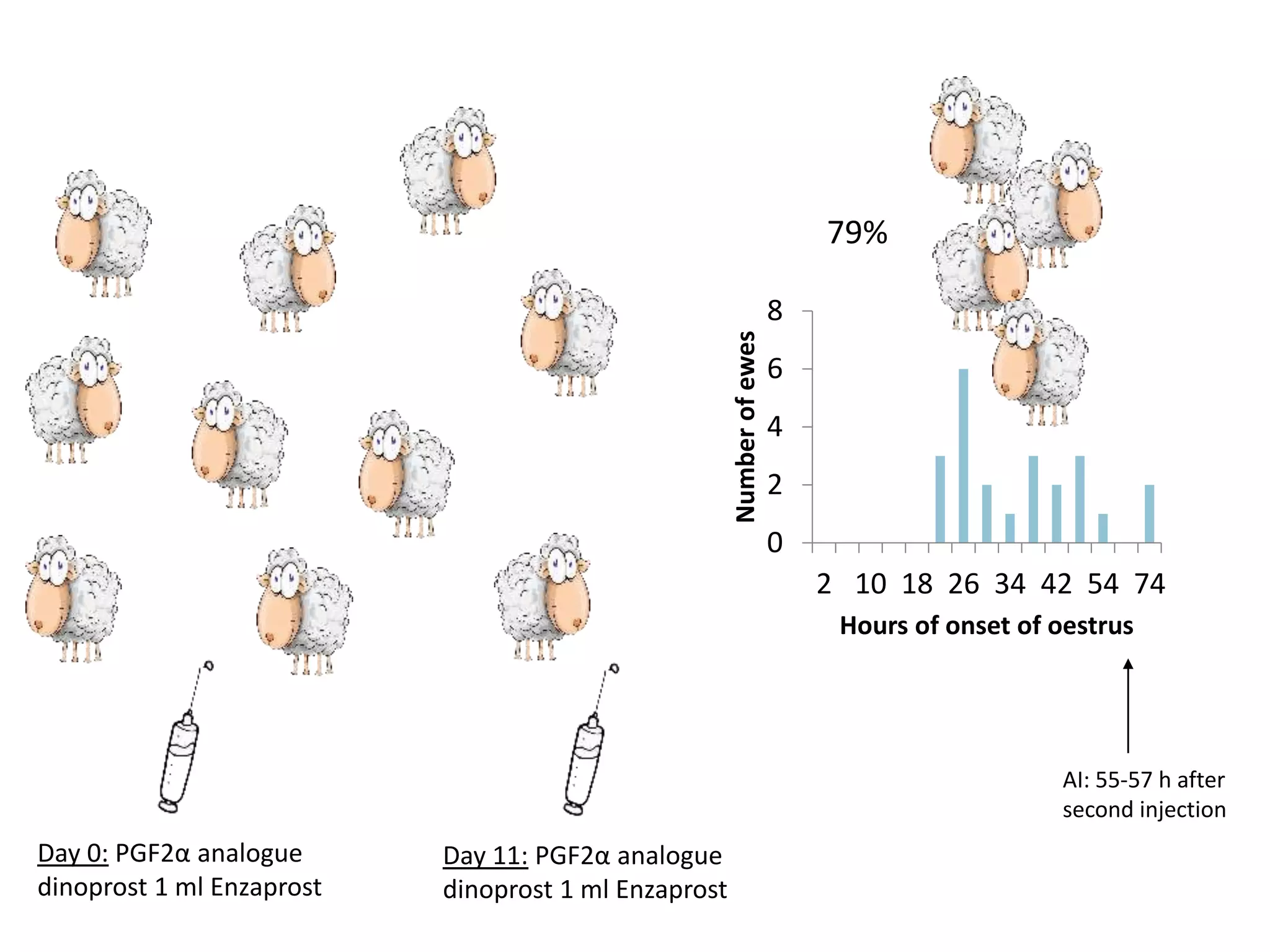 Reproductive interventions for more efficient sheep and goats breeding ...