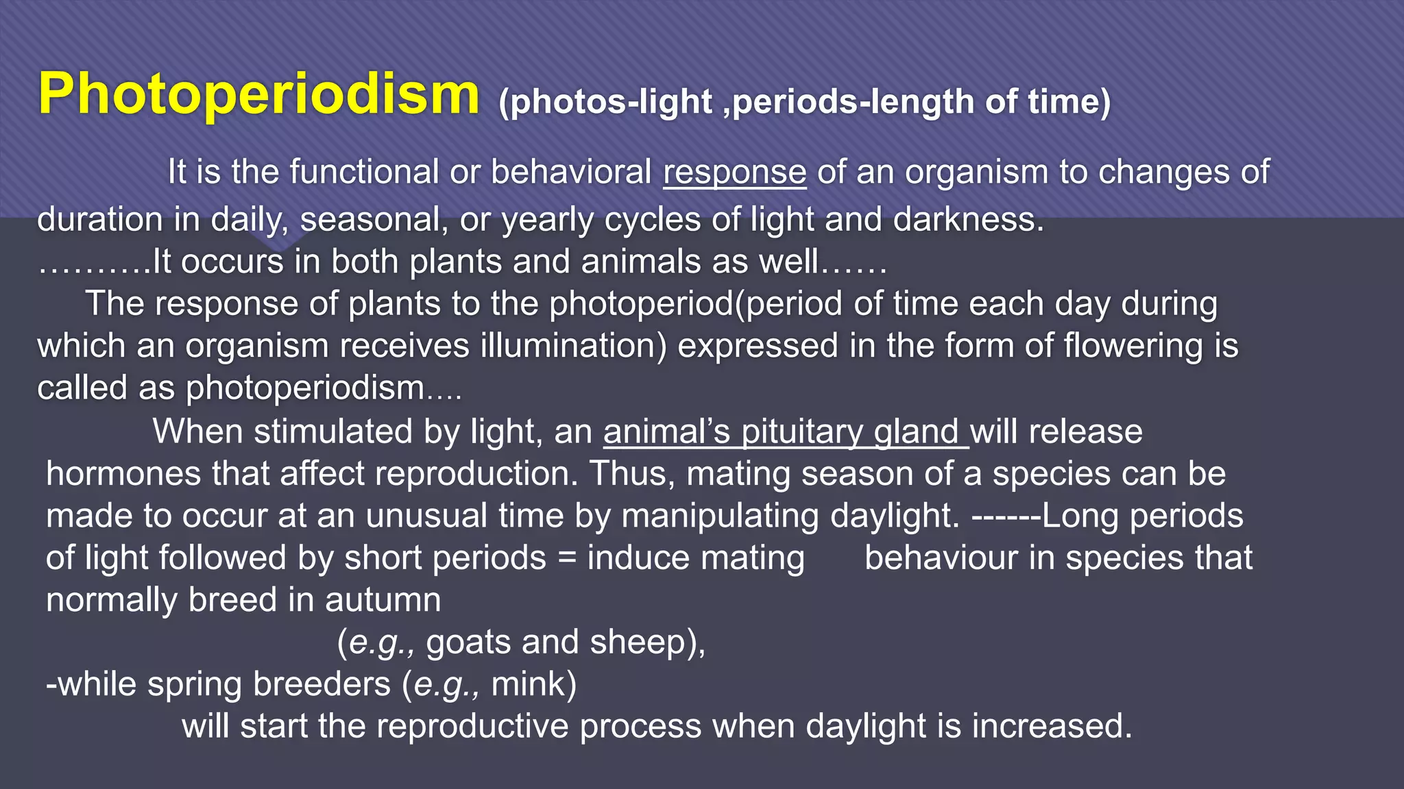 Animal Physiology ( Biological Clock) | PPTX