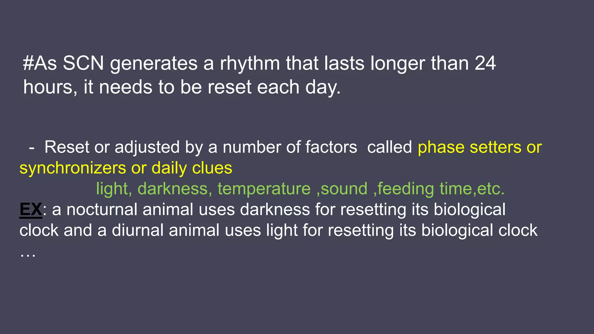 Animal Physiology ( Biological Clock) | PPTX
