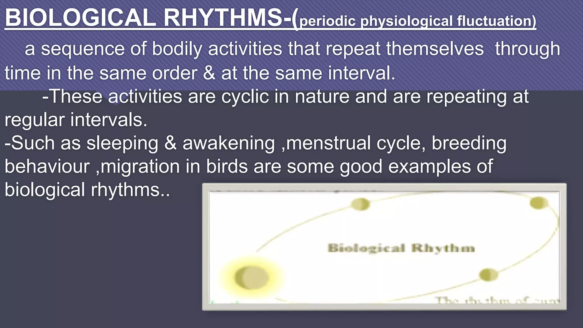 Animal Physiology ( Biological Clock) | PPTX