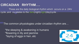 Animal Physiology ( Biological Clock) | PPTX
