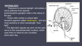 Animal Physiology ( Biological Clock) | PPTX