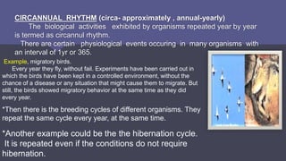 Animal Physiology ( Biological Clock) | PPTX