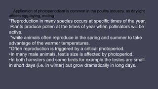 Animal Physiology ( Biological Clock) | PPTX