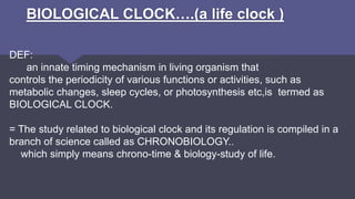 Animal Physiology ( Biological Clock) | PPTX