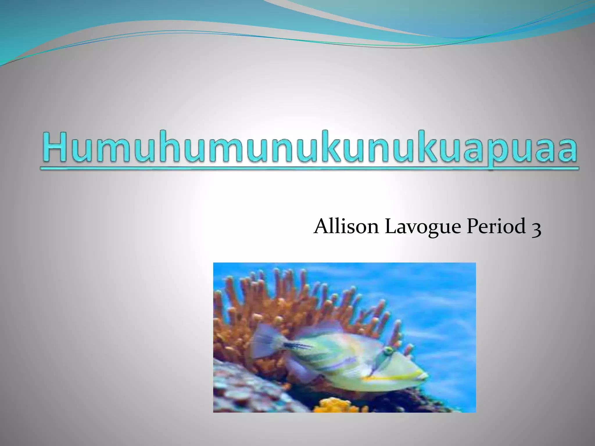 Animmal power point allison lavogue | PPTX