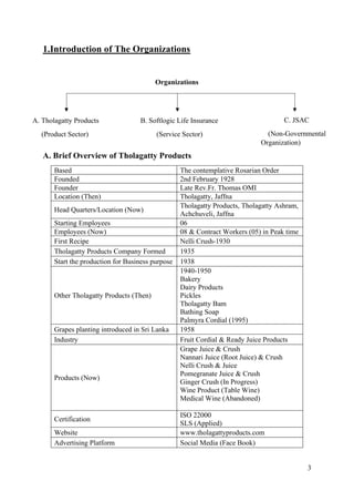 An Industrial Report.pdf
