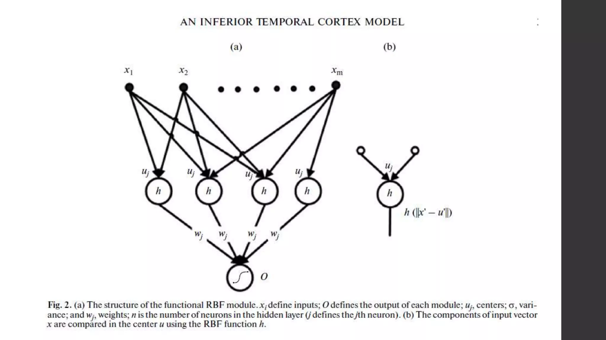 An Inferior Temporal Cortex Model Ppt