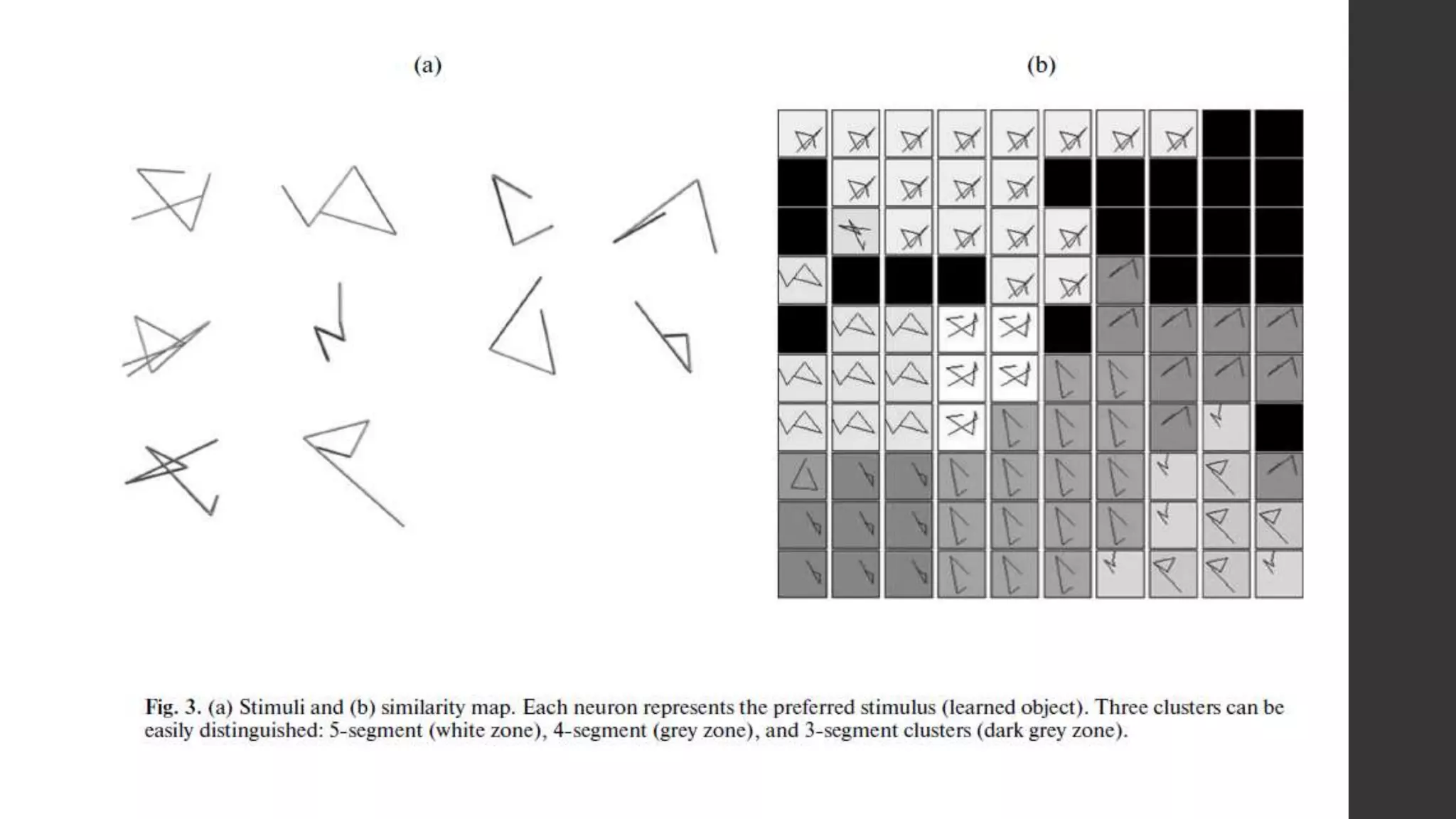 An Inferior Temporal Cortex Model Ppt