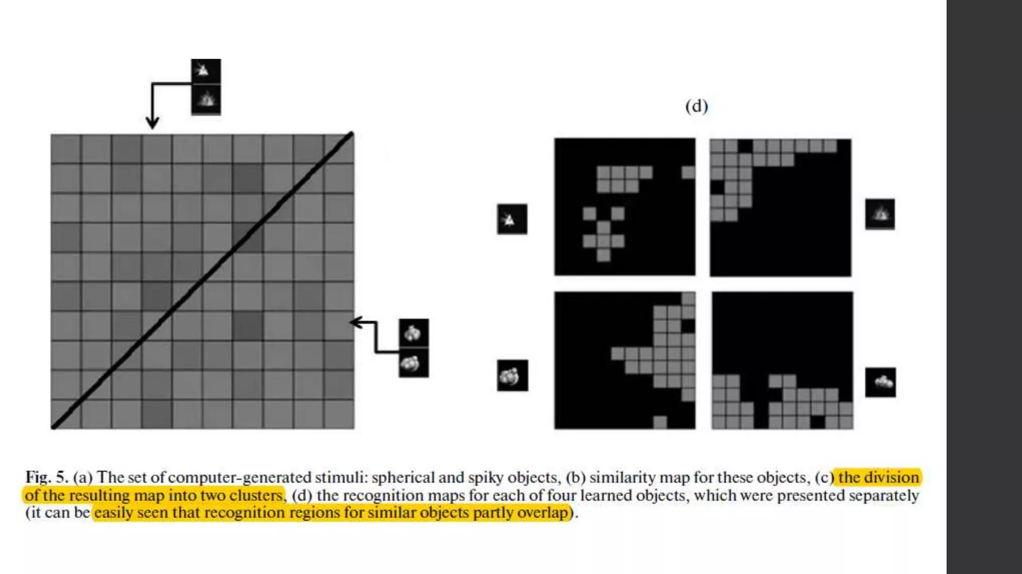An Inferior Temporal Cortex Model Ppt