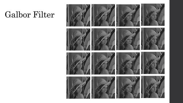 An Inferior Temporal Cortex Model Ppt